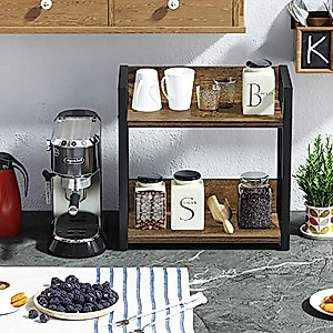 Giikin 2 Tier Lazy Susan Organizer, 2 Tier Spice Turntable Organizer, Circle Rotating Lazy Susan Turntable for Kitchen Countertop and Cabinet, 9.8 Inches (Rustic Brown)