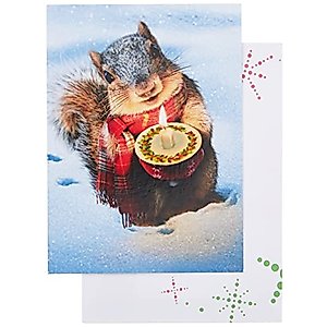 Avanti 10-Count Christmas Cards, Little Squirrel with a Candle