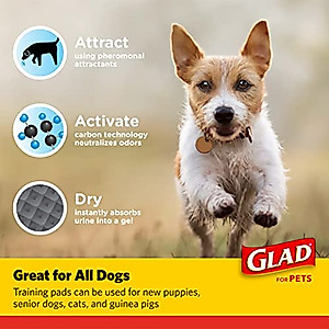 Glad for Pets Black Charcoal Puppy Pads 23" x 23" | Puppy Potty Training Pads That ABSORB & NEUTRALIZE Urine Instantly | New & Improved Quality Puppy Pee Pads, 100 count