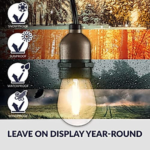 Newhouse Lighting CSTRINGLED18 Hanging Sockets | Weatherproof Technology String Light, 48 ft, Black, 48 ft