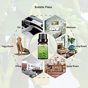 Vanilla Essential Oil Mumianhua Pure Vanilla Oil Essential Oil Vanilla Aromatherapy Oil for Skin, Hair, Diffuser, Soap Making, Candle Making, Cleaning 10ml