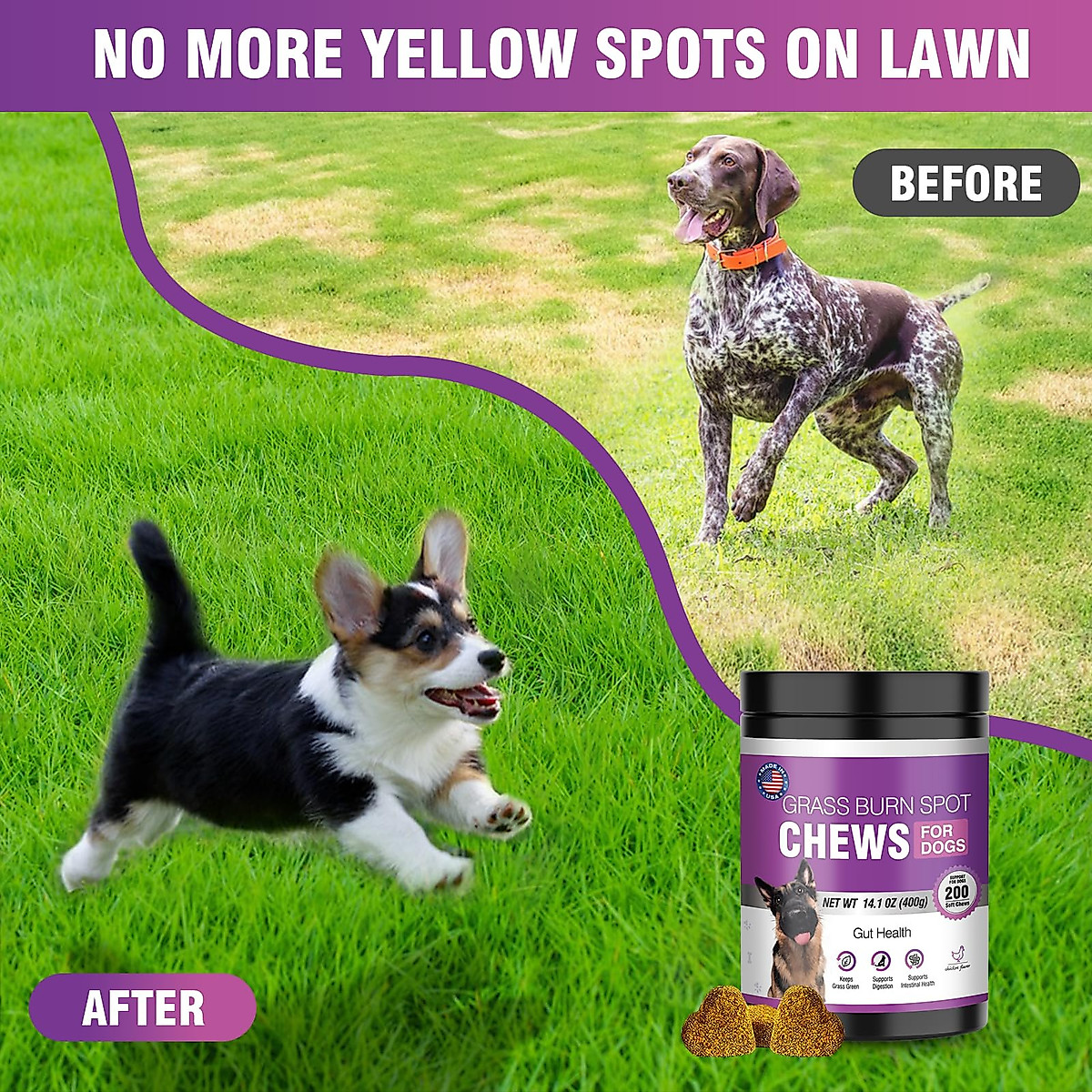 Grass Burn Spot Chews for Dogs Dog Pee Grass Neutralizer 200 Green Grass Dog Chews Urine Lawn Spot Protector Urinary Tract Support Dog Bladder Support Cranberry, Apple Cider Vinegar, DL-Methionine