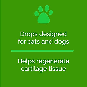 Arthritis & Join Pain Relief Dietary Supplement Small Dogs & Cats by Interfarma Corp | Cartilage Protection, Reduce Inflammation, & Joint Support | with Glucosamine, Chondroitin, Collagen, & MSM.