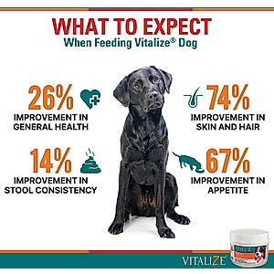Vitalize Dog Digestive Health Powder - Relief for Constipation, Vomiting & Nausea, Skin & Coat Supplement- Multivitamin Powder with Omega 6, 3 & Biotin & Dog Prenatal Supplement (1 Pound)