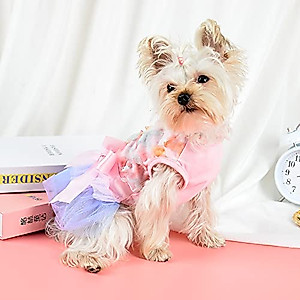 Dog Clothes for Small Dogs Girl 3 Pack Summer Puppy Clothes Outfit Yorkie Clothes Cute Cat Skirt Pup Tutu Pink Yorkie Clothing Breathable Pet Dress Tiny Dog Clothes (X-Small)
