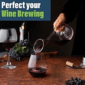 Hydrometer for Wine Making with 100 MM Hydrometer Alcohol Test Jar - Specific Gravity Hydrometer for Wine and Beer Making Testing Kit and Brewing Your Own Homebrew