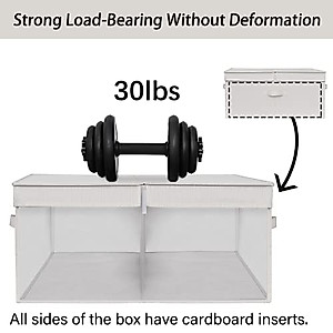 StorageWorks 2-Pack Storage Baskets for Shelves + Storage Box with Lid