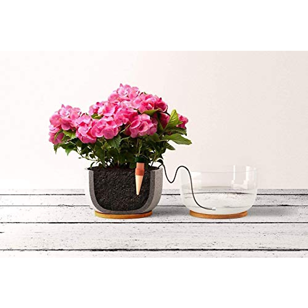 Blumat Classic Plant Watering Stakes | for Everyday Home or Vacation Use | Indoor or Outdoor Water Spikes for Plants | Automatic Drip Irrigation (6 Pack)