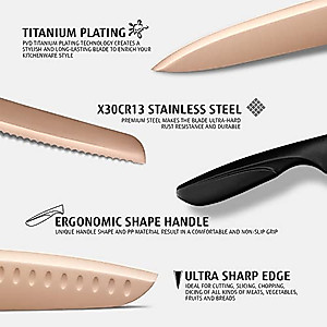 hecef 25 PCS Rose Gold Titanium Plated Kitchen Knife Set with Block and Cutting Mats, Cutlery Knife Set with Sharp Serrated Steak Knives, Boning Knife, Scissors, Sharpener, Peeler and Acrylic Stand