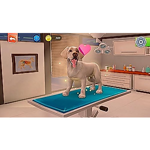 Animal Hospital (PS4)