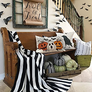 AACORS Halloween Pillow Cover 12X20 Inch Pumpkin Jack-O'-Lanterns Bat Web Decoration Holiday Farmhouse Pillow Case Decor for Home Sofa Couch AA306-12