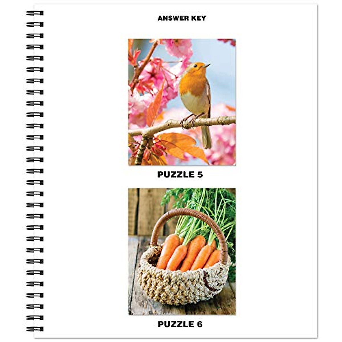 Brain Games - Sticker by Number: In the Garden (Easy - Square Stickers): Create Beautiful Art With Easy to Use Sticker Fun!
