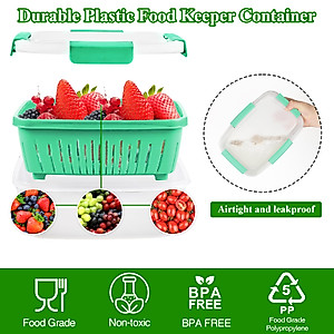 shopwithgreen 68oz Berry Keeper Container, Fruit Produce Saver Food Storage Containers with Removable Drain Colanders, Vegetable Fresh Keeper Set | Refrigerator Organizer