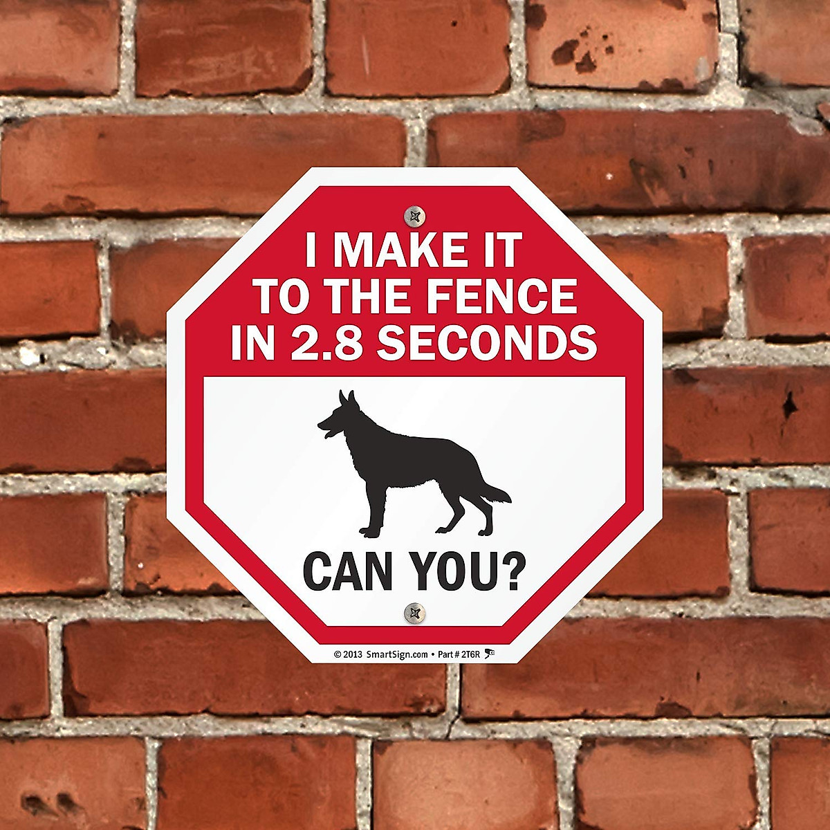 SmartSign Funny Dog Sign, I Make It to The Fence in 2.8 Seconds, Can You Sign, Octagon 10x10 Inches, Aluminum Metal, Beware of German Shepherd Signs