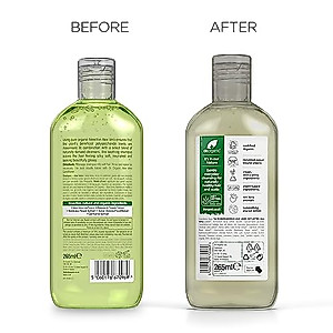 Organic Doctor Aloe Vera, Shampoo, 9 Fluid Ounce