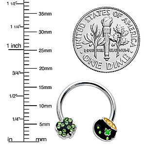 Body Candy 2Pc 14G Nipplerings Piercing Women 316L Steel Shamrock Pot of Gold Horseshoe Mens Nipple Ring Set of 2 14mm