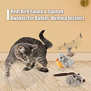 Cat Toys 2 PCS Interactive for Indoor Cats Automatic Squeaking Mouse and Feather Bird Melody Sound Chaser Set Lifelike Plush Electronic Kitty Toy (Grey)