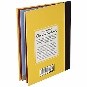 Amelia Earhart (Volume 3) (Little People, BIG DREAMS, 3)