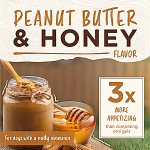 TropiClean Enticers Teeth Cleaning Gel & Toothbrush for Large Dogs | Peanut Butter & Honey Flavor | Bamboo Brush Speeds Up Plaque Removal | Gel Helps Fight Bad Breath | 2 oz