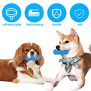 BLMHTWO 2PCS Dog Spiky Toy, Durable Squeaky Balls Chew Toy Rubber Puppy Dental Ring Dog Toy Pool Rings for Small Medium Dogs Indoor Outdoor Training Teeth Cleaning (Blue, Orange)