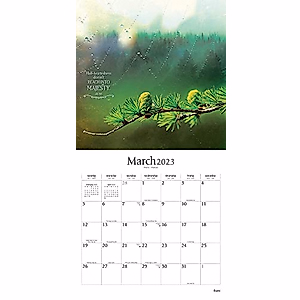 Poetry of Rumi | 2023 12 x 24 Inch Monthly Square Wall Calendar | Brush Dance | Art Poems Poet