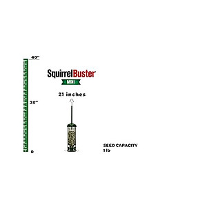Squirrel Buster Mini Squirrel-proof Bird Feeder w/4 Metal Perches, 1.3lbs Seed Capacity, garden green