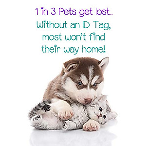 Meeko | Pocahontas Pet Id Dog Tag | Personalized for Your Pet