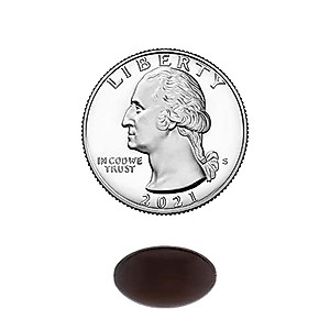 Prioritize Your Health and Baby's Development with Spring Valley Mini Prenatal Multivitamin 120 Softgels. Includes Luall Fridge Magnetic