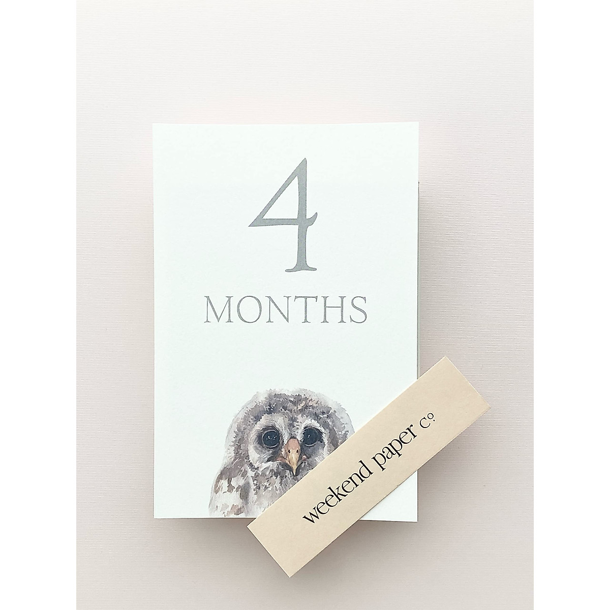 Weekend Paper Co.™ Baby Animals Milestone Cards, baby monthly marker for an expecting mother or new mother, baby gifts or shower registry.