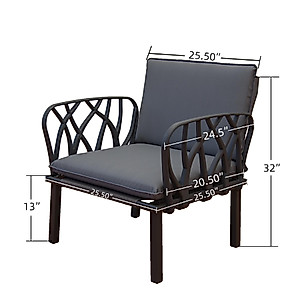 Domi Outdoor Chairs Set of 2 with Arms & Removable Gray Cushions, All-Weather Modern Plastic Metal Dining Chairs Patio Furniture for for Balcony, Backyard, Pool, Porch