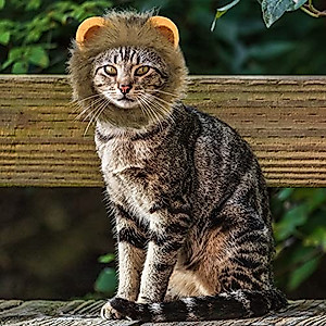 2 Pieces Pet Lion Mane Wig Hat Costume for Kittens Small Cats Puppy Dogs Halloween Party Apparel Accessories Holiday Headwear Cosplay Dress up Clothes Pet Outfit Gifts for Cat Dog Lovers (Small)