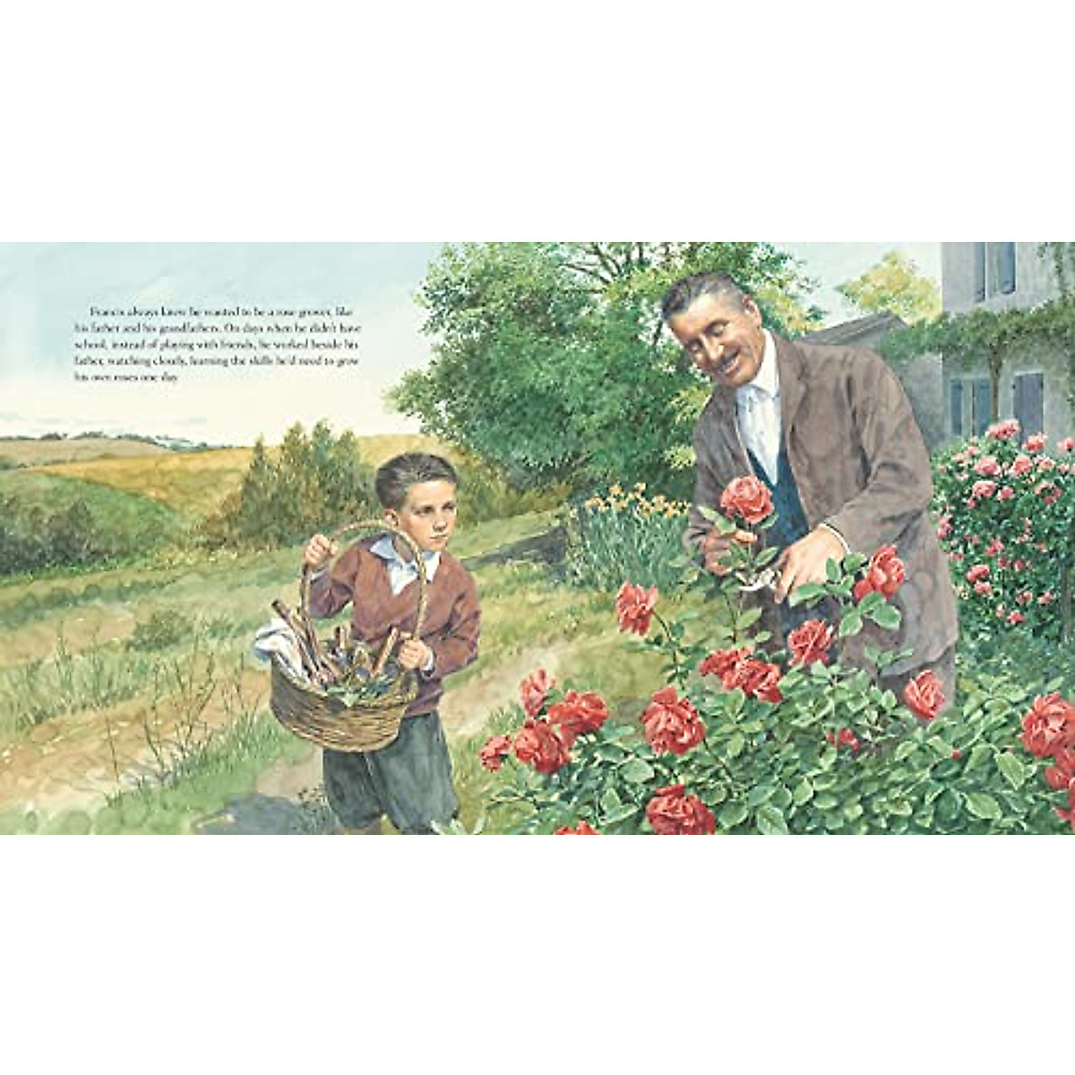 A Rose Named Peace: How Francis Meilland Created a Flower of Hope for a World at War