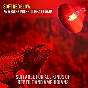 FIVEAGE 75W Red Heat Light Reptile Heat Lamp Infrared Bulb UVA Basking Spot Bulb for Reptile and Amphibian Use - Bearded Dragons Lizard Tortoise Snake Chameleon 2 Pack