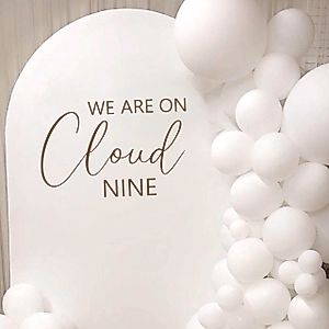 CANTLY We Are On Cloud Nine Wall Decal - Cloud 9 Baby Shower Decorations,Bachelorette Party Decorations, Bride To Be Party Supplies, Cute Baby Shower Decor, Bridal Shower, Engagement Photobooth Backdrop(On Cloud 9 Sticker)