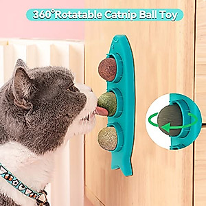 Petslucent 3in1 Cat Catnip & Silverine Balls Wall Toys for Indoor Cats (Blue)