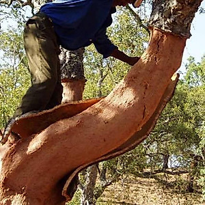 Mirabolante Pure Portuguese Natural Cork Bark Handbags for Women, Shoulder Bags, Crossbody Bags-11 (m)