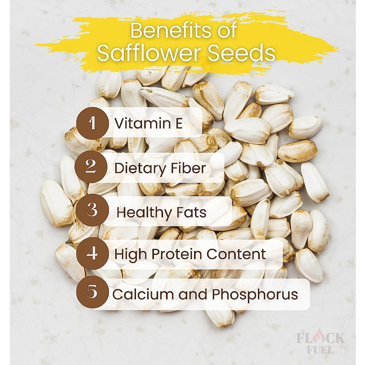 Flock Fuel Safflower Wild Bird Seed Cylinder 2 Pack Bird Seed for Outside Birds