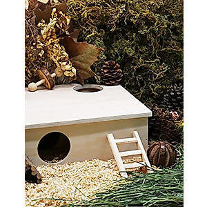 Rubor Multi-Chamber Hamster House Maze, Hamster Hideout Small Pets Woodland House Habitats Decor, Hamster Tunnels Activity Hamster Burrow for Hamster Mice Gerbils Lemming