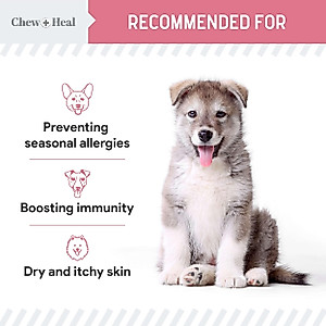 Dog Allergy Chews - 90 Delicious Soft Chew Treats - Anti Itch Allergy Relief for Dogs and Cats - Boosts Immune System, Promotes Skin Health - Seasonal Allergy Treatment for Pets - Made in The USA