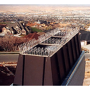 Bird-X Plastic Polycarbonate Bird Spikes, Covers 50 feet