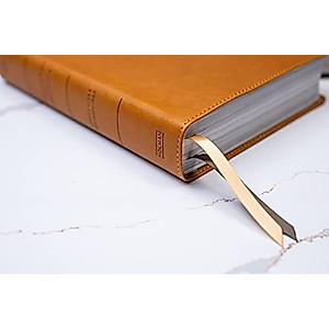 RVR 1960 Biblia ilustrada de la Tierra Santa, café símil piel / RVR 1960 Holy land Study Bible, brown LeatherTouch (Spanish Edition)