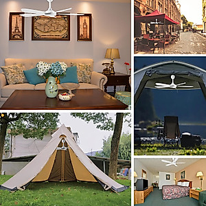 Mengnessly 28" Inch Ceiling Fan AC 110V/DC 12V Indoor Outdoor Gazebo Electric Fans for Tent with Remote Control Portable Hanging Plug in No Light White Bedroom Porch Quiet Small Room RV Garage Dorm