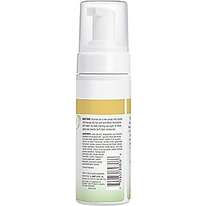 Burt's Bees Refreshing Foaming Cleanser and Natural Face Wash with Cucumber and Mint, 4.8 Fl Oz