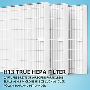 5300 Replacement Filter 115115 Filter A, Compatible with Winix PlasmWave Air Purifier 5300, C535, 5300-2, 6300-2, P300, 4 H13 True HEPA with 4 Carbon Pre-filters