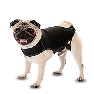 Company of Animals Anxiety Wrap, Black, Toy Sized