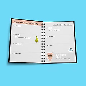 F*ck Cancer Undated Planner: A 52-Week Motivational Organizer and Get Well Gift for Cancer Patients and Caregivers