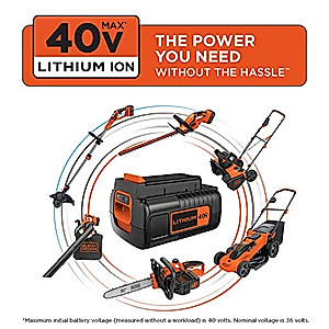 BLACK+DECKER 40V MAX* String Trimmer / Edger, 13-Inch (LST140C)