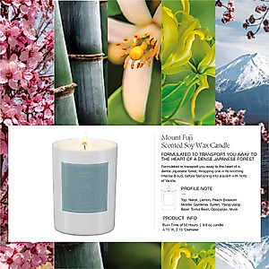 ESNA HOME Leblanc Mount Fuji Luxury Aromatherapy Scented Candles | Essential Oil All Natural Soy Candles Meditation Gifts for Women | 8.8oz 50 Hours Votive White Candle | Decor for Home Scented