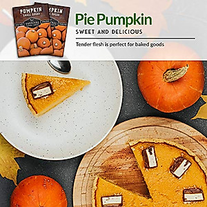Survival Garden Seeds - Small Sugar Pumpkin Seed for Planting - Packet with Instructions to Plant and Grow Pie Pumpkins in Your Home Vegetable Garden - Non-GMO Heirloom Variety