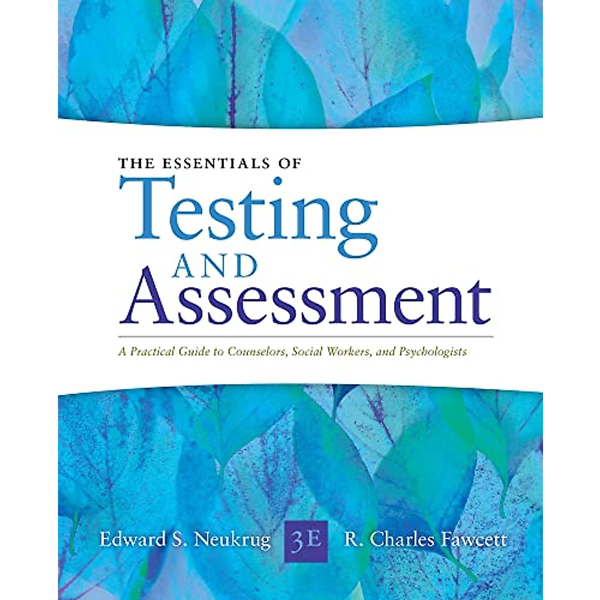 Essentials of Testing and Assessment: A Practical Guide for Counselors, Social Workers, and Psychologists, Enhanced